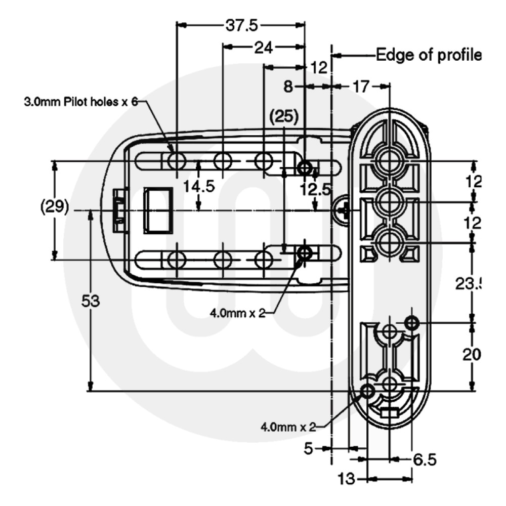 Avocet Flag Hinge - Standard