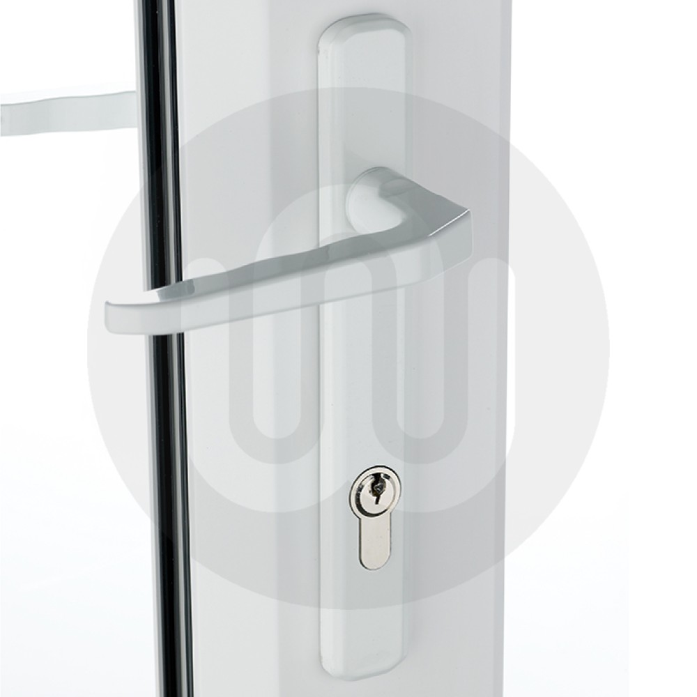 Avocet Door Handle - Small Backplate