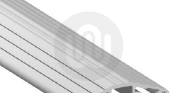 Industrial Raised Ramp