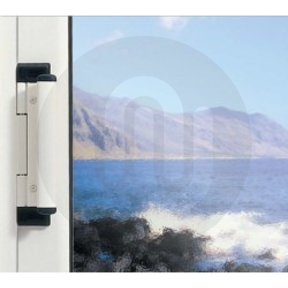 CAL Lock with Handle