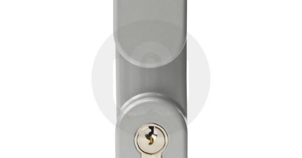 Outside Access Device with Knob