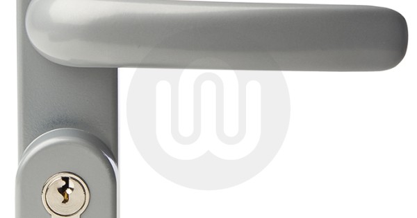 Outside Access Device with Handle