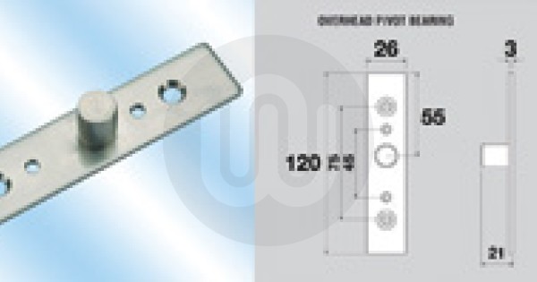 Overhead Pivot Bearing