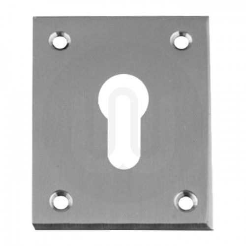 Large Euro Repair Escutcheon for Timber