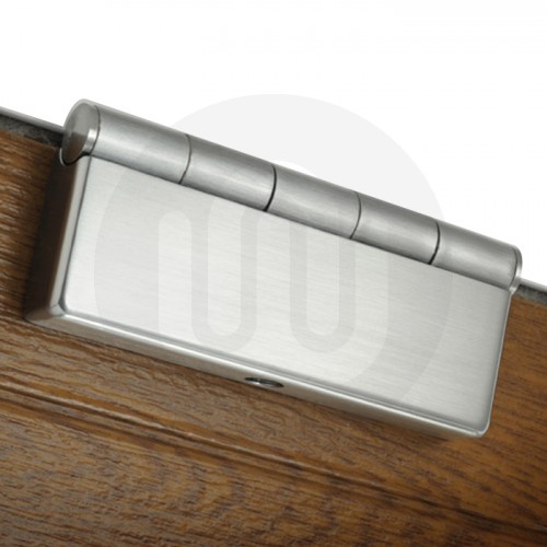 Slimline Face Fixed Flag Hinge